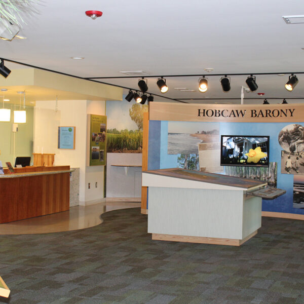 Plan Your Visit – Hobcaw Barony